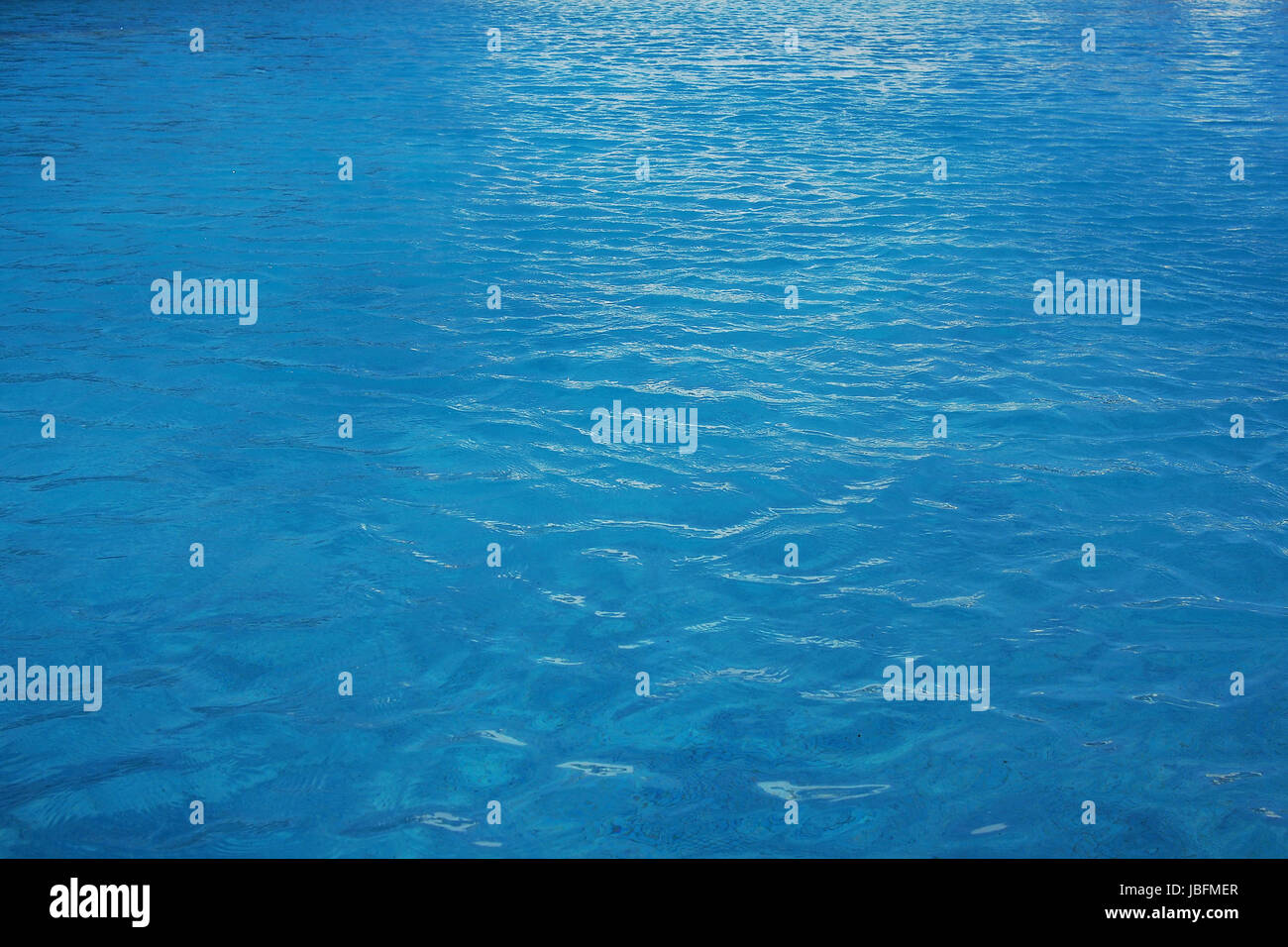 Blue water in the swimming pool Stock Photo - Alamy
