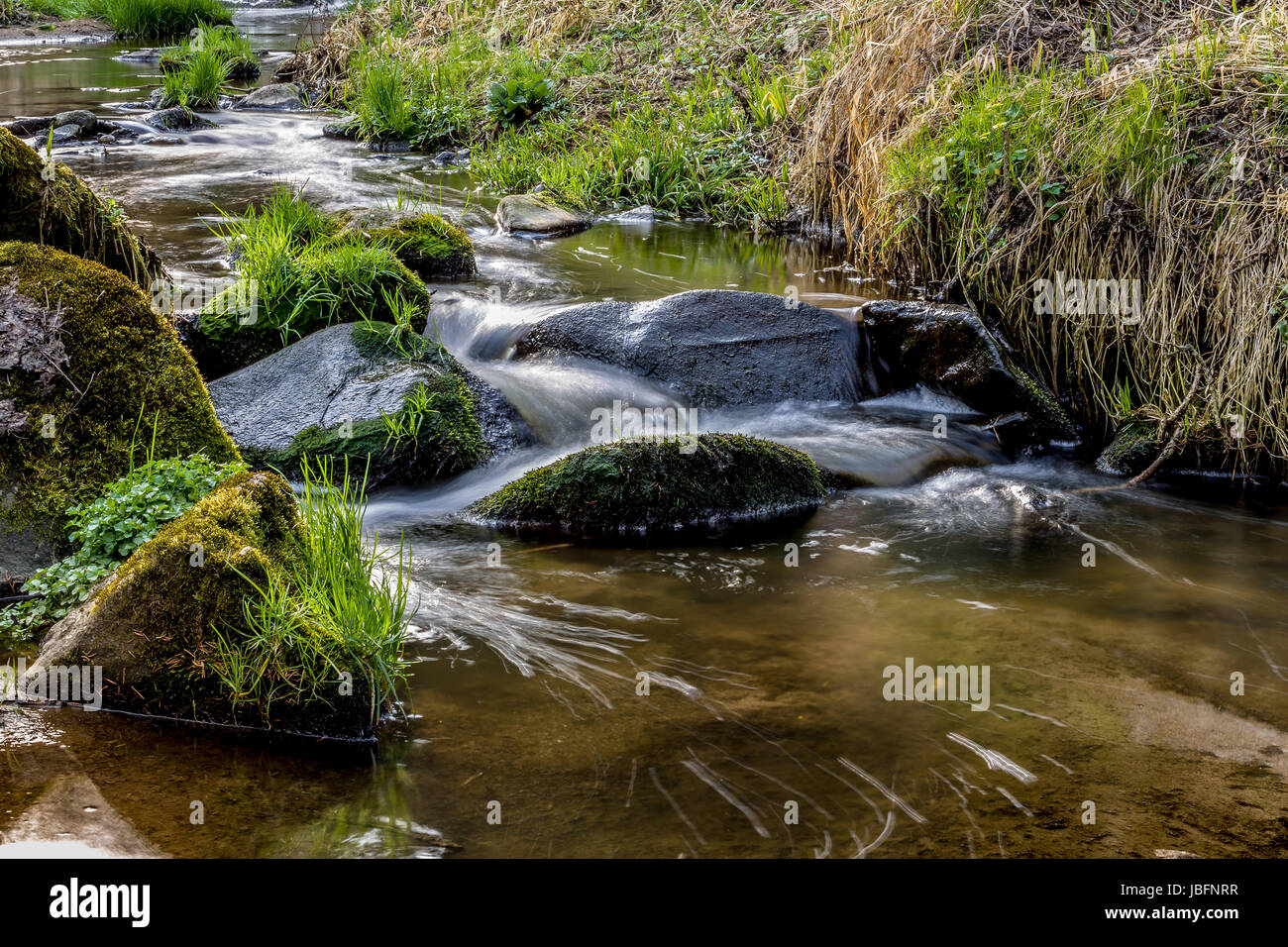 Falls on the small mountain river in a wood in spring Stock Photo - Alamy