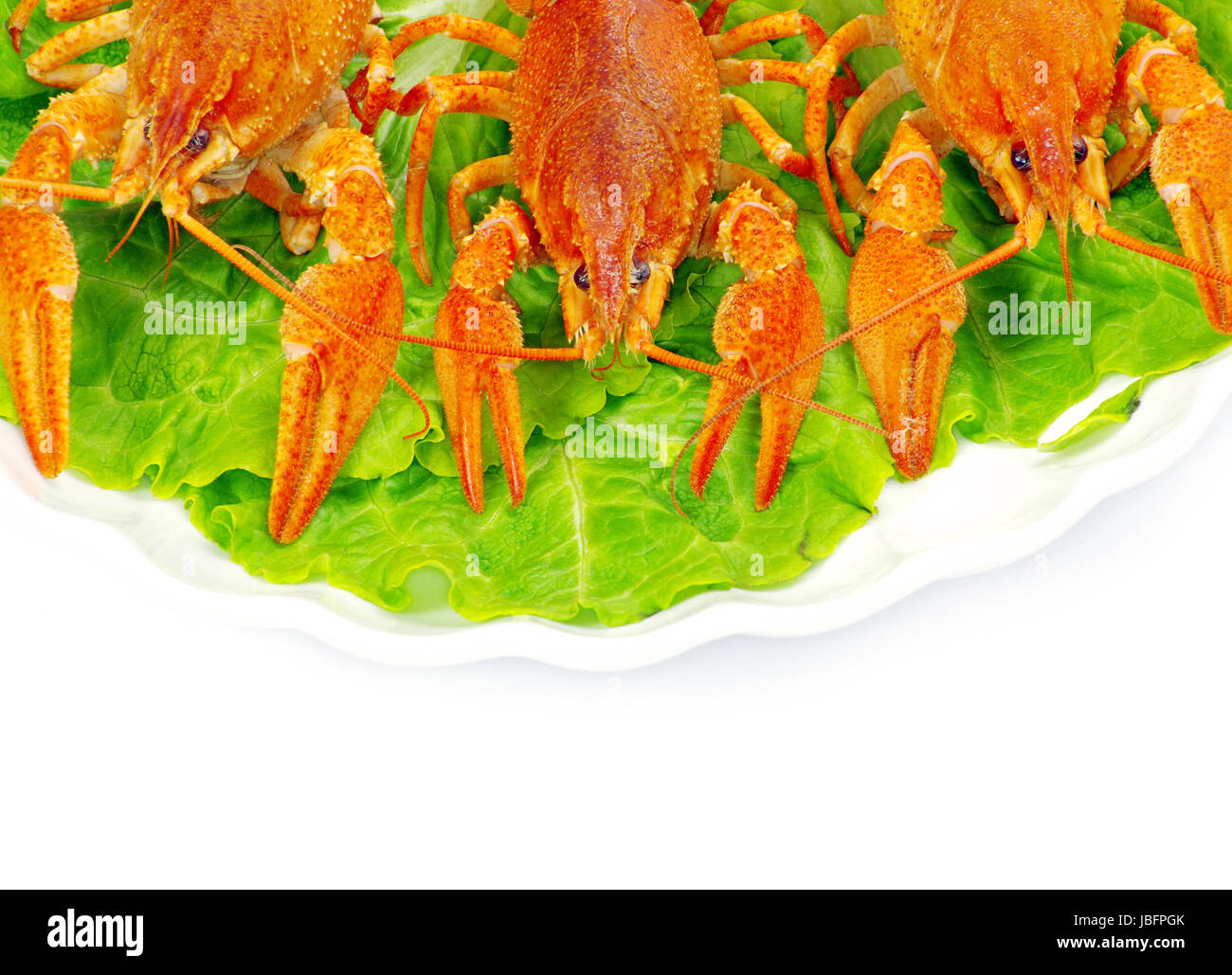 Hot boiled crayfish on white background Stock Photo - Alamy
