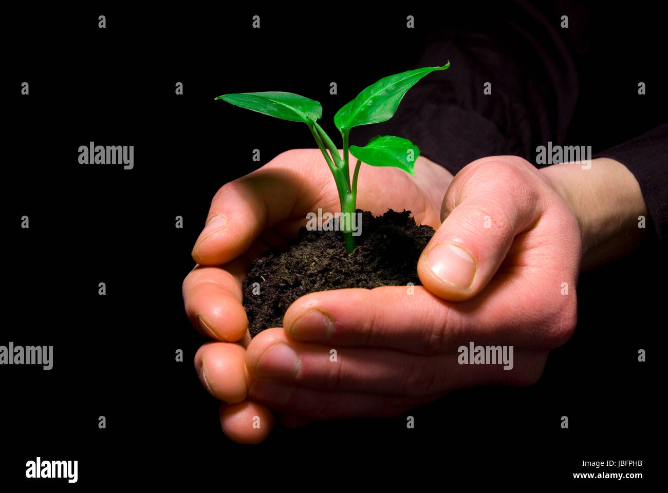Hands holding sapling in soil Stock Photo - Alamy