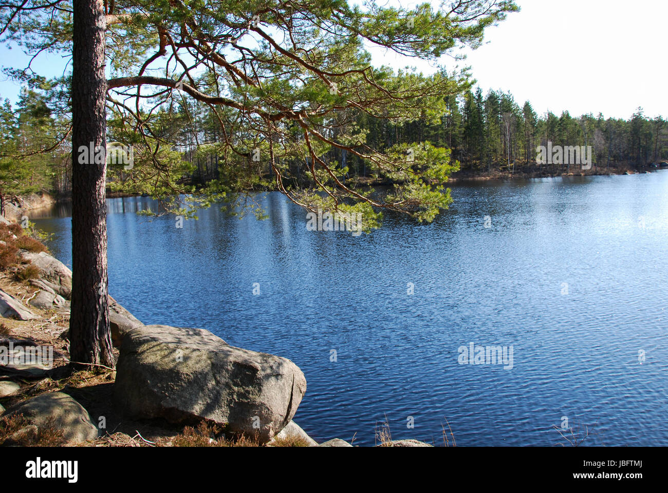 Blue forest lake with rocks in the swedish province Smaland Stock Photo ...