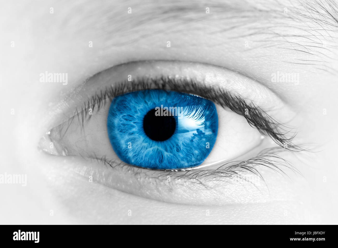 Child blue eye looking at camera close up Stock Photo - Alamy