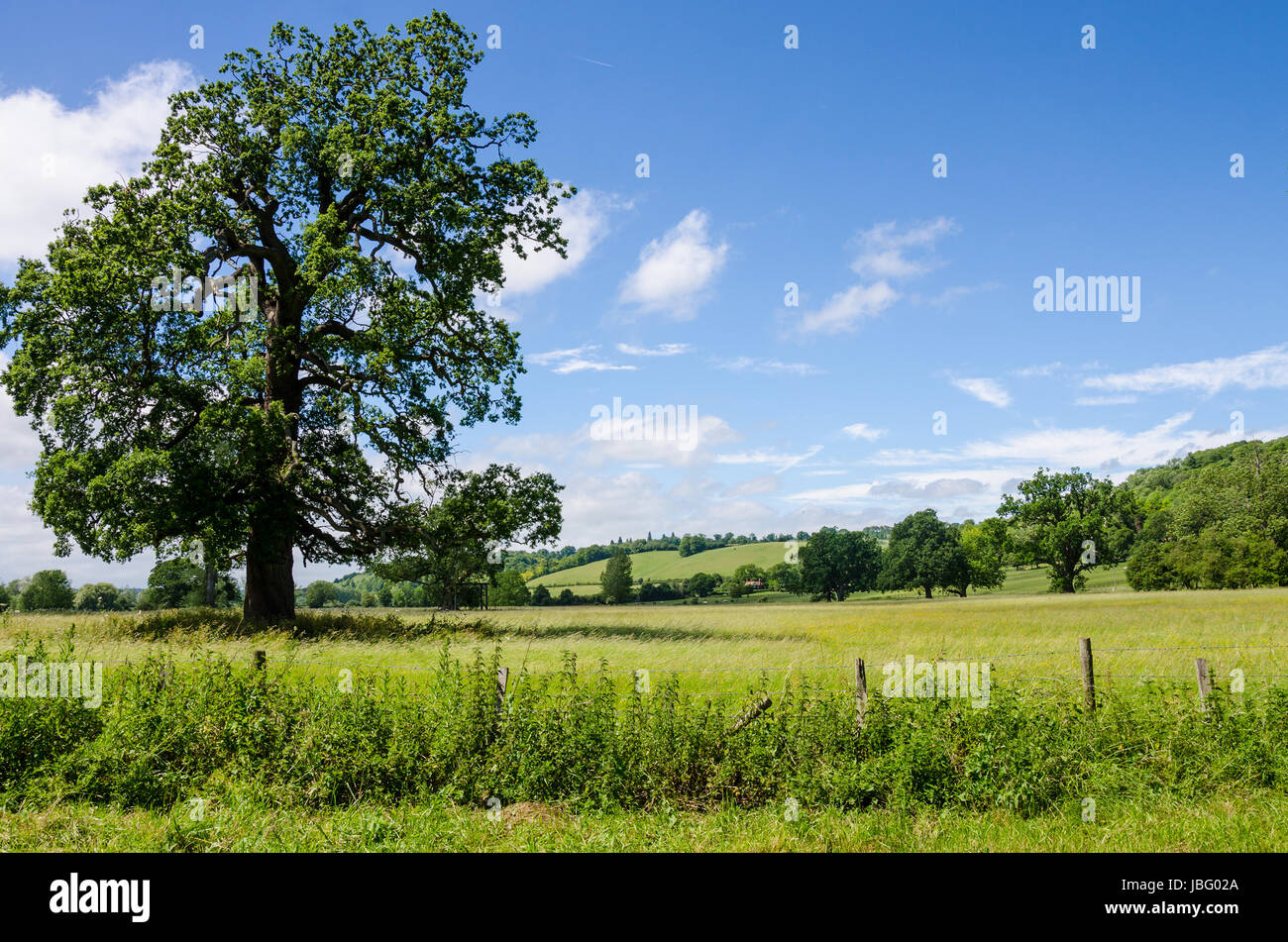 A view looking across a Berkshire landscape with blue sky with white ...