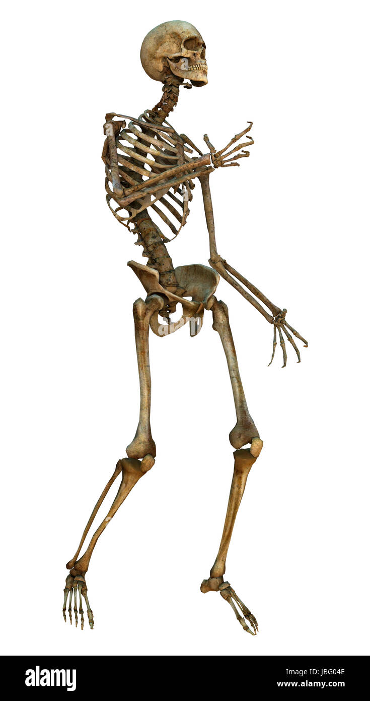 3D digital render of an old human skeleton isolated on white background ...
