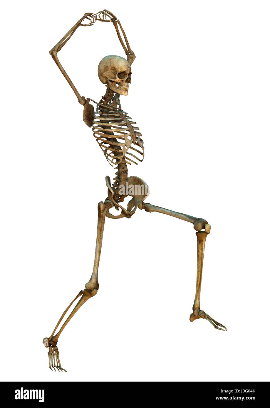 3D digital render of an old human skeleton isolated on white background ...