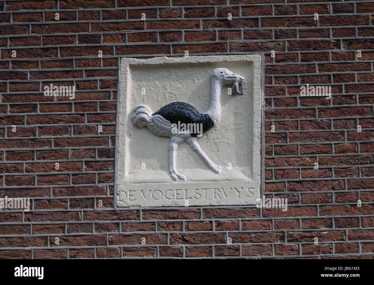 Ostrich House High Resolution Stock Photography and Images - Alamy