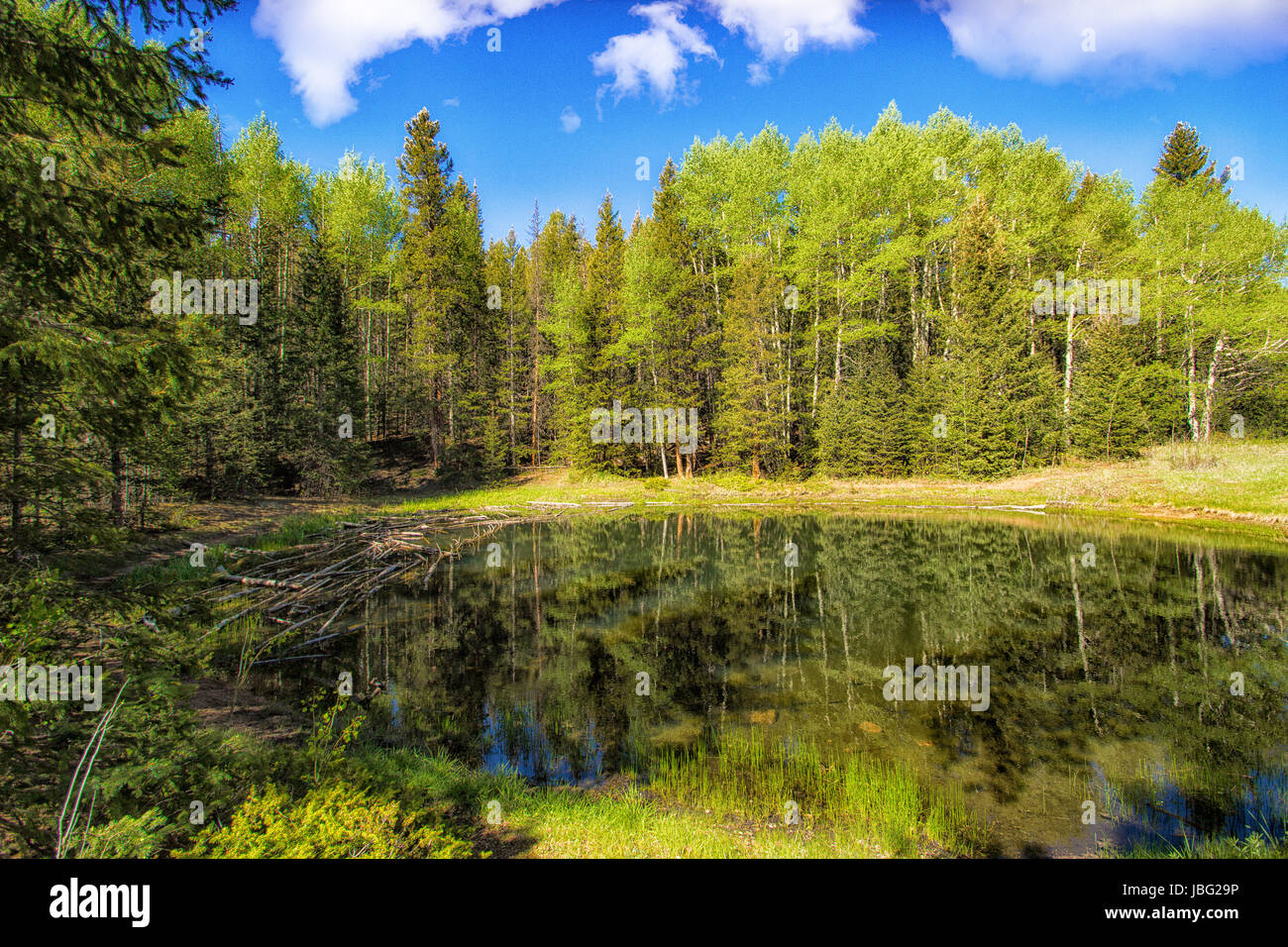 colorado landscape with mountains Stock Photo - Alamy