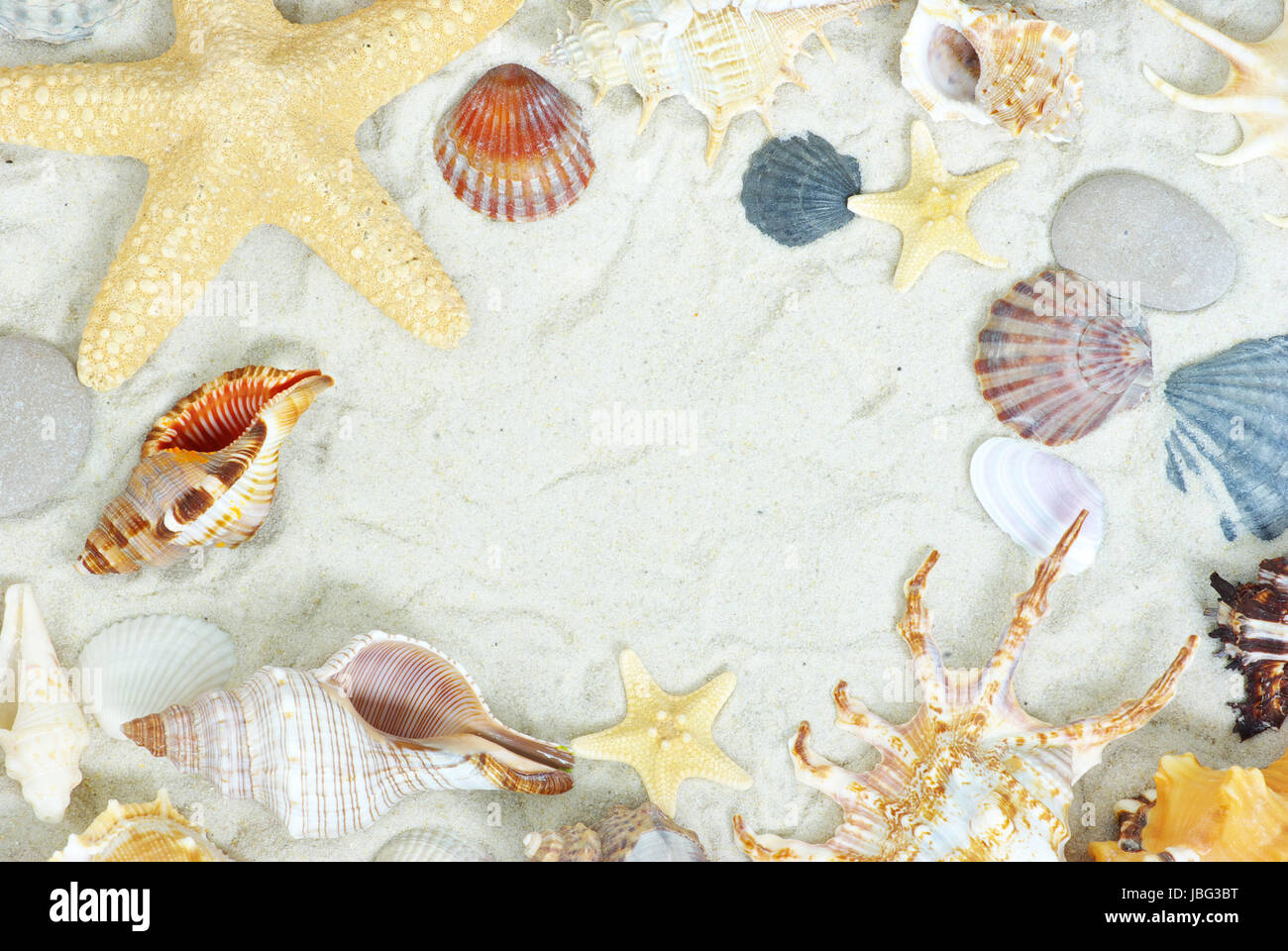 starfish and shells on the beach Stock Photo - Alamy