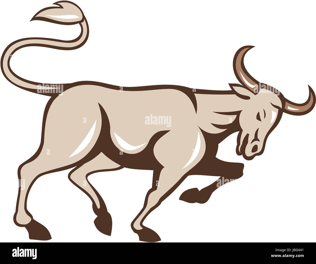 Illustration of an angry raging bull charging viewed from side on ...