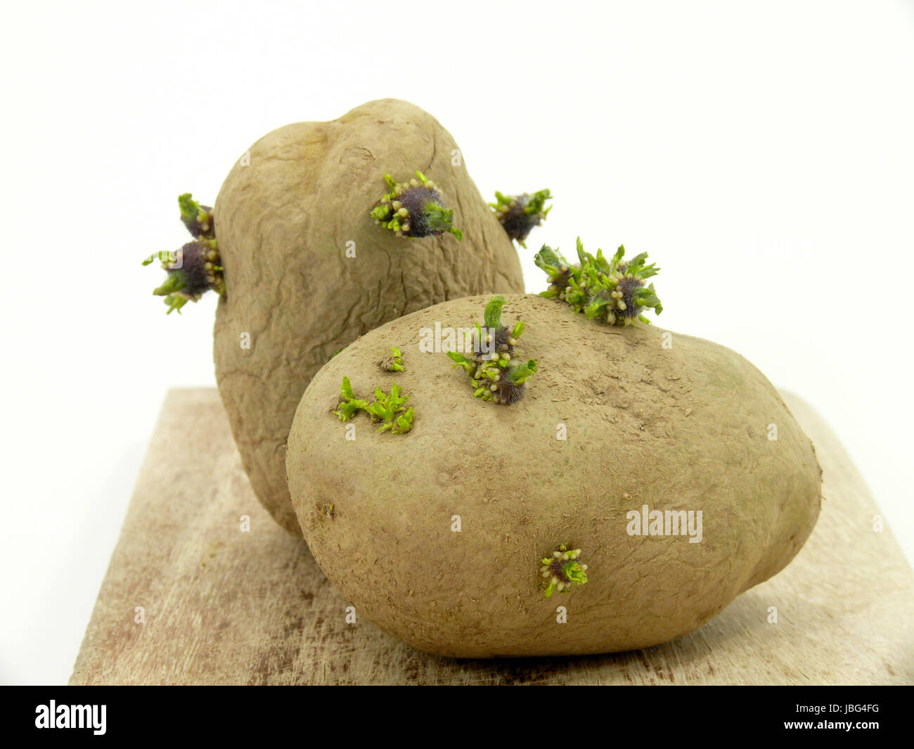 Tuber eyes hi-res stock photography and images - Alamy