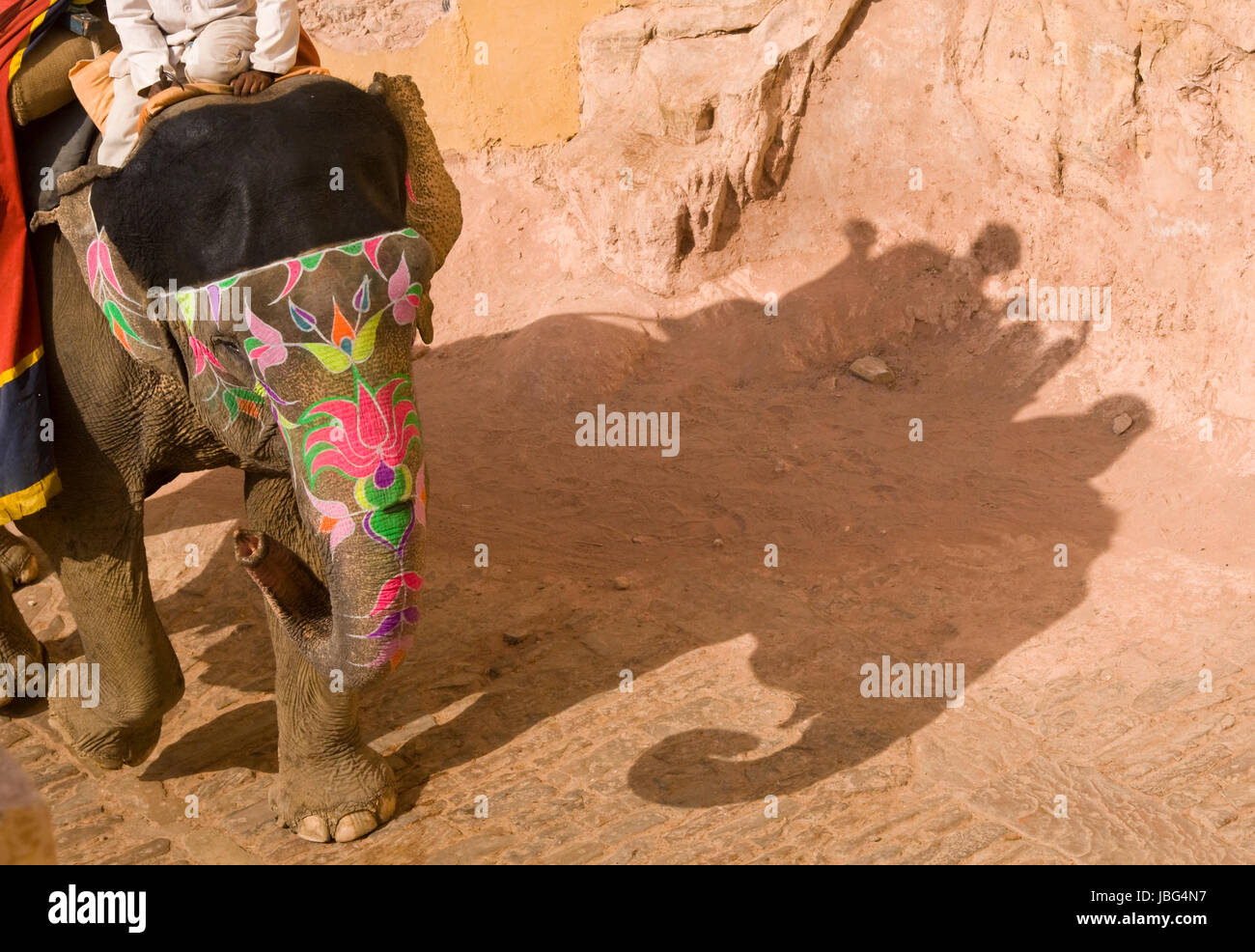 Transporting an elephant hi-res stock photography and images - Alamy