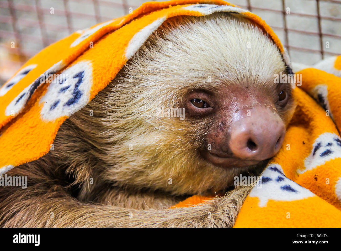 good night together Stock Photo - Alamy