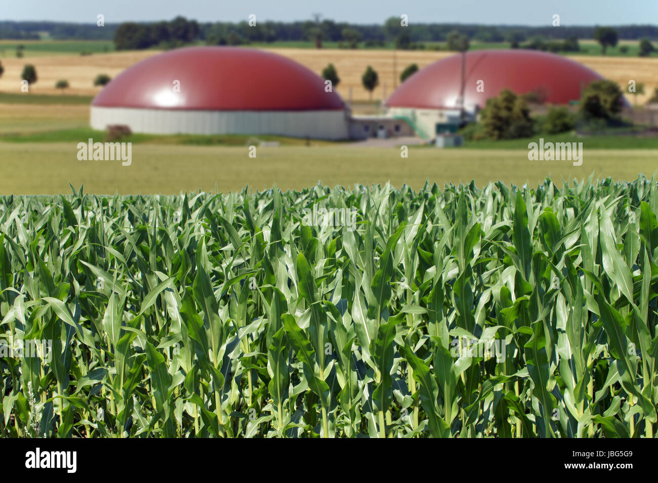Biogas facility and corn field Stock Photo - Alamy