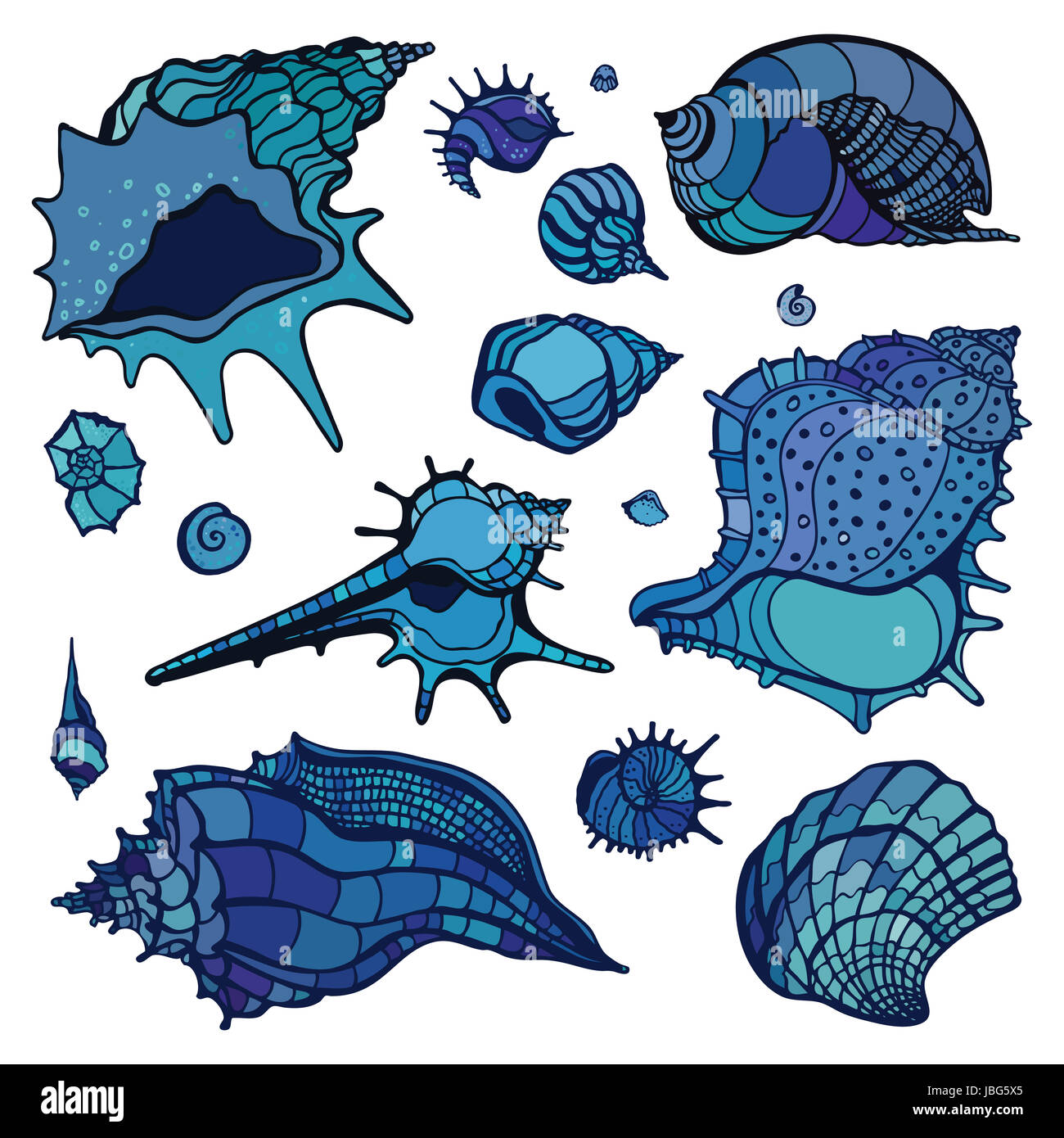 Sea shells collection. Hand drawn vector illustration Stock Photo - Alamy