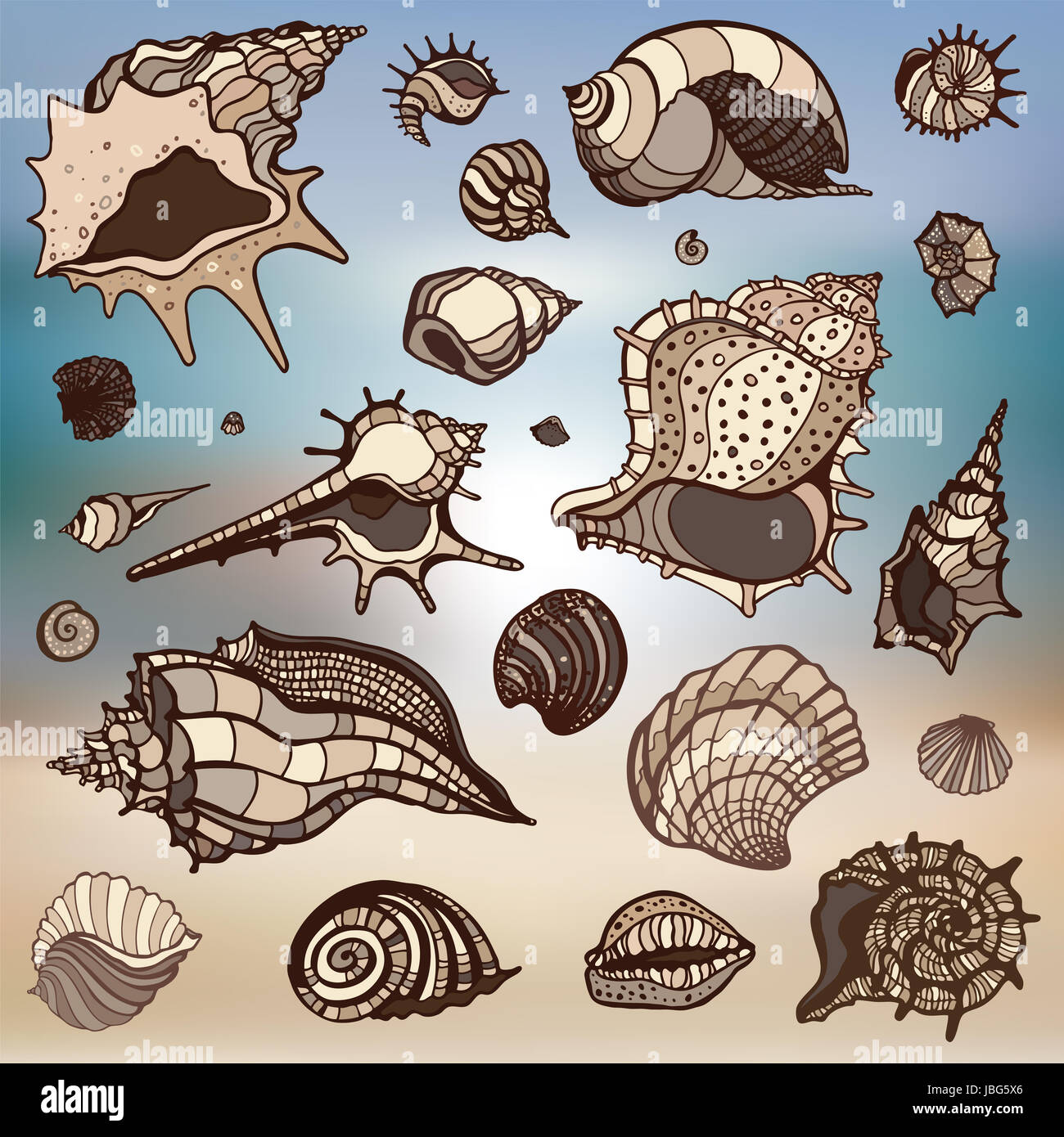 Sea shells collection. Hand drawn vector illustration. Sea background ...
