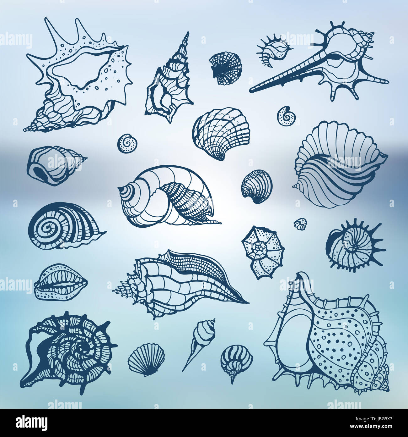 Sea shells collection. Hand drawn vector illustration. Sea background ...