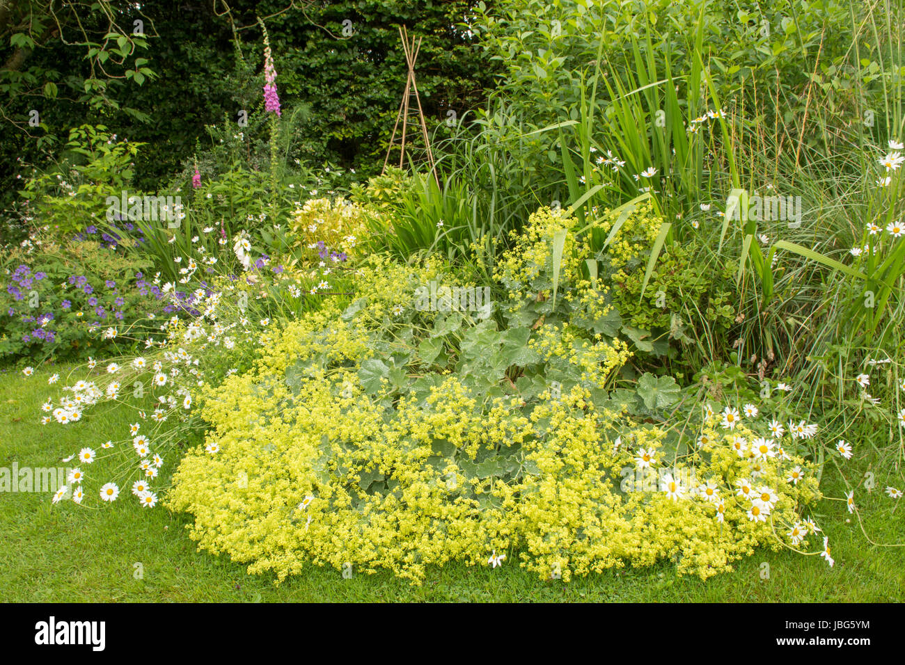 Heavy rain garden hi-res stock photography and images - Alamy