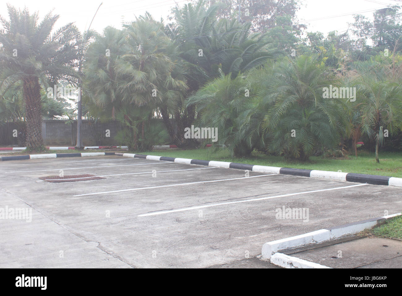 Empty space in a Parking lot, in park Stock Photo - Alamy