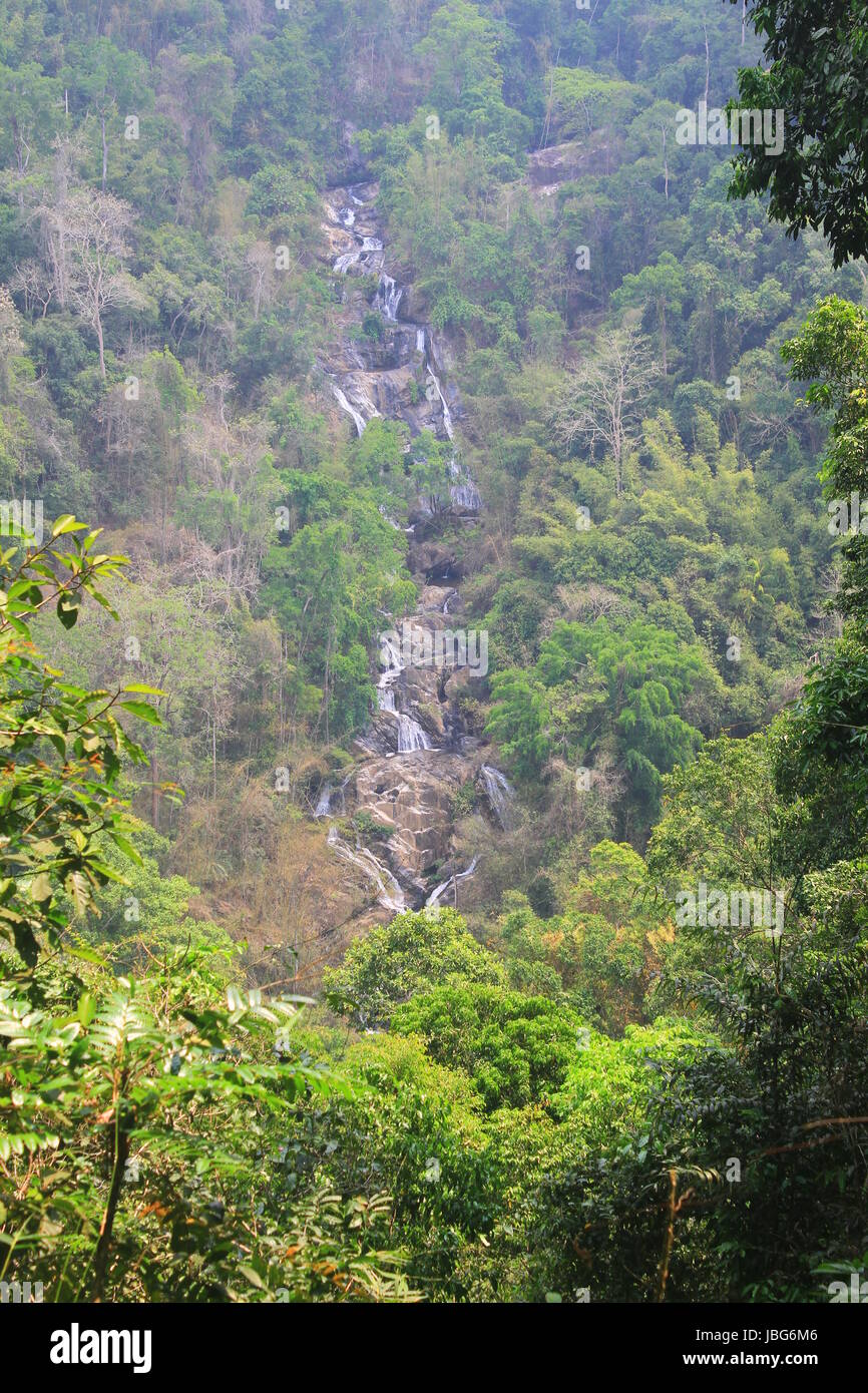 waterfall and rocks covered with moss in deep forest Stock Photo - Alamy