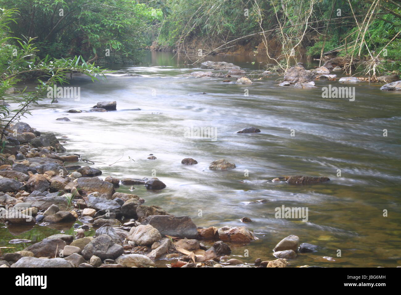 River in deep forest, river in evergreen forest in Thailand Stock Photo ...