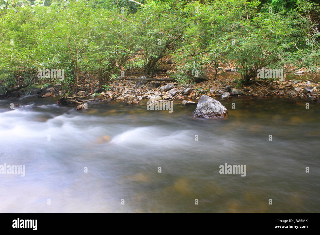 River in deep forest, river in evergreen forest in Thailand Stock Photo ...