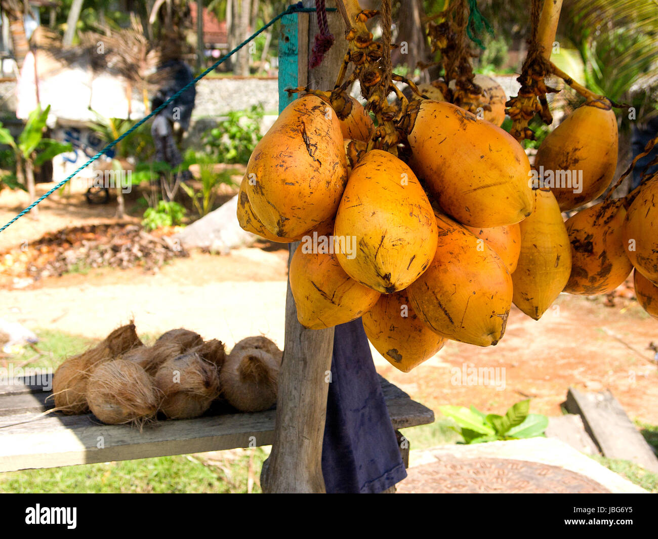 Coconuts stand beach hi-res stock photography and images - Alamy