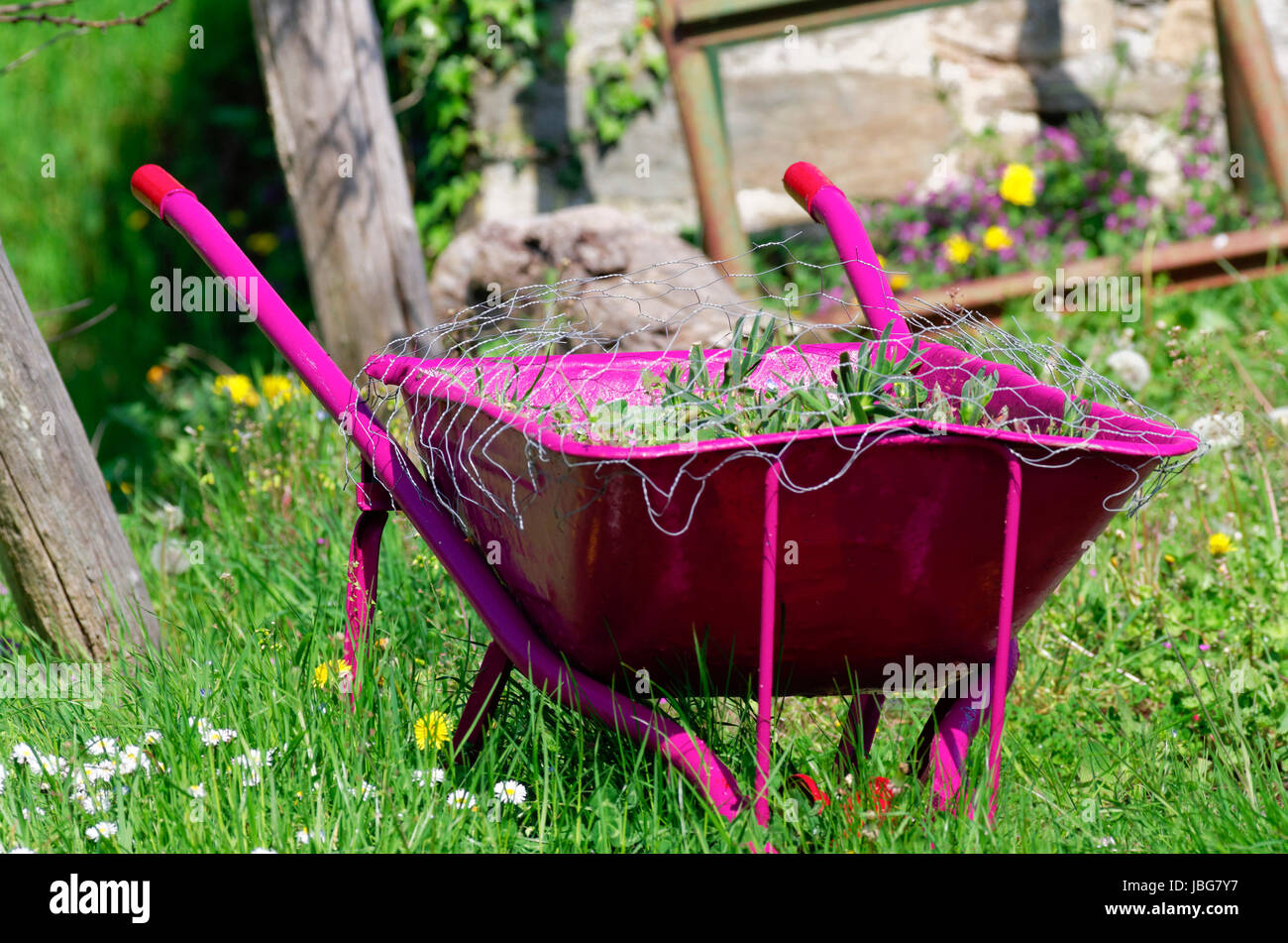 work in a garden wheelbarrow ready for use Stock Photo - Alamy