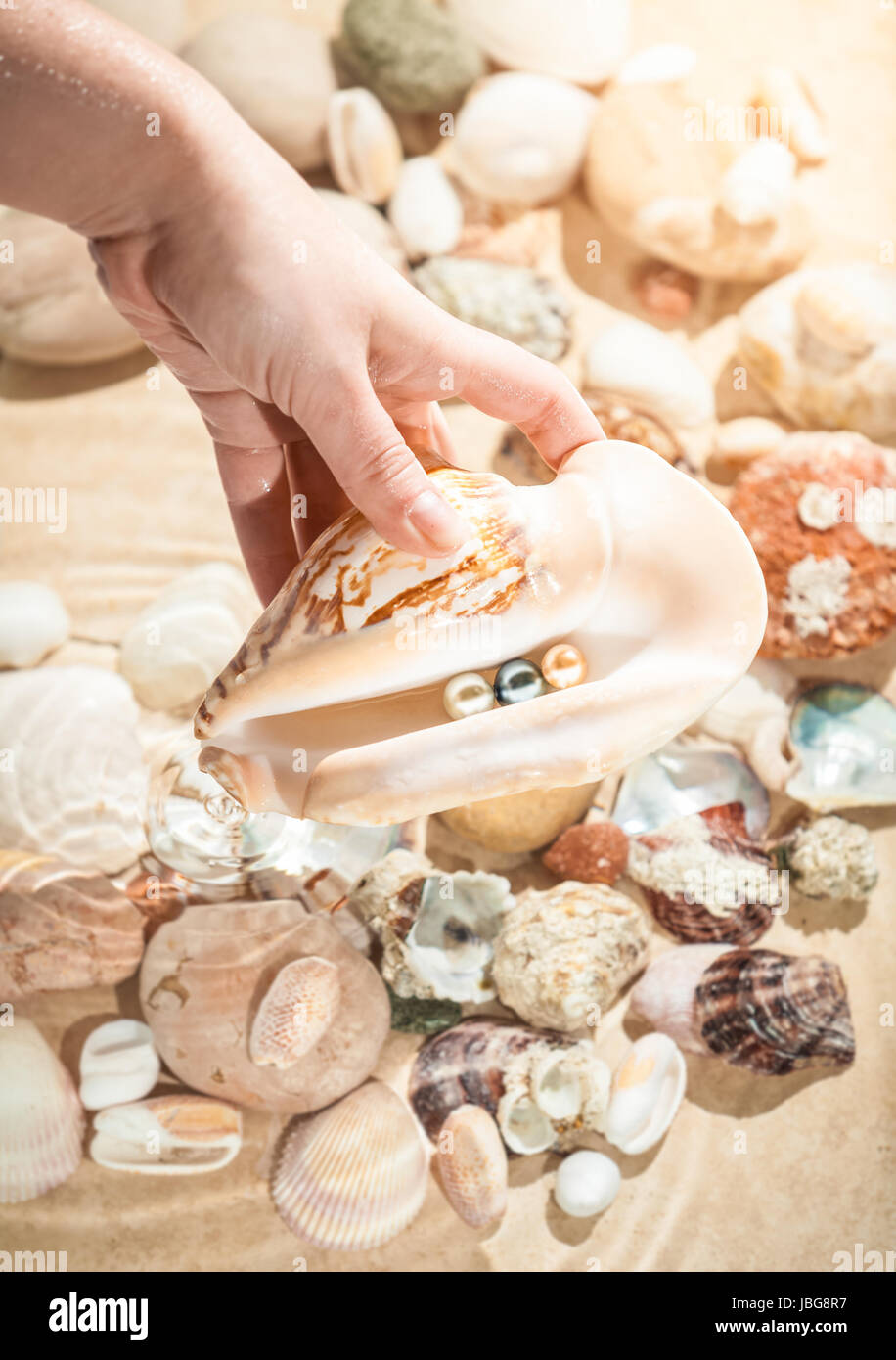 Closeup photo of woman holding seashell with three pearls Stock Photo ...
