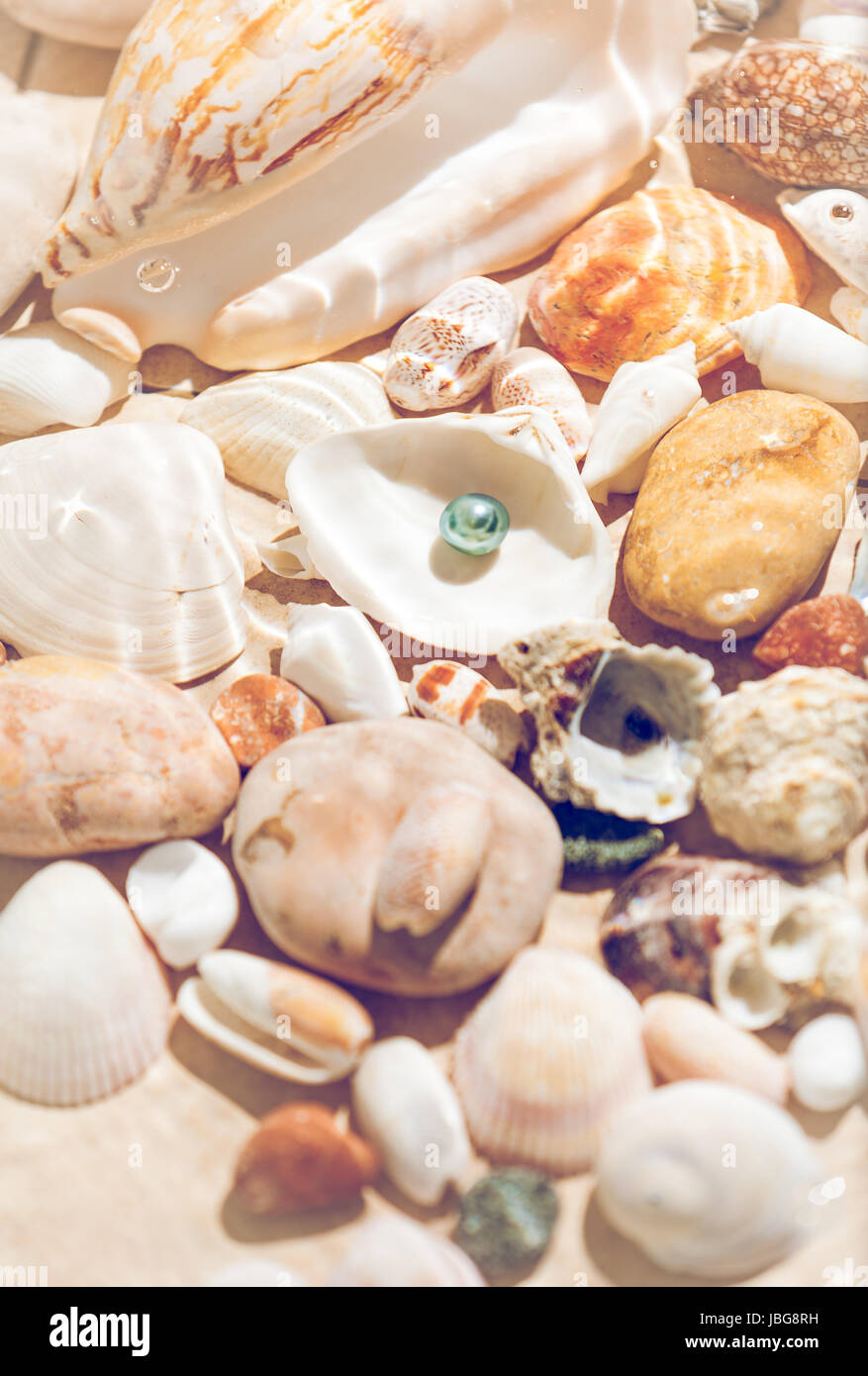 Underwater photo of black pearl in big shell Stock Photo - Alamy