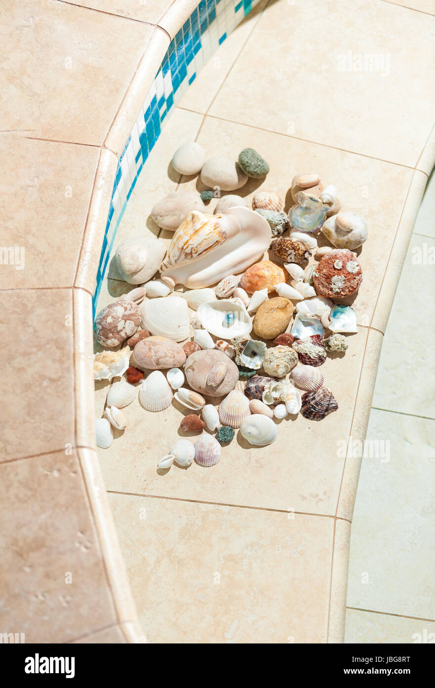 Photo of seashells and pebbles lying on bottom of swimming pool Stock ...