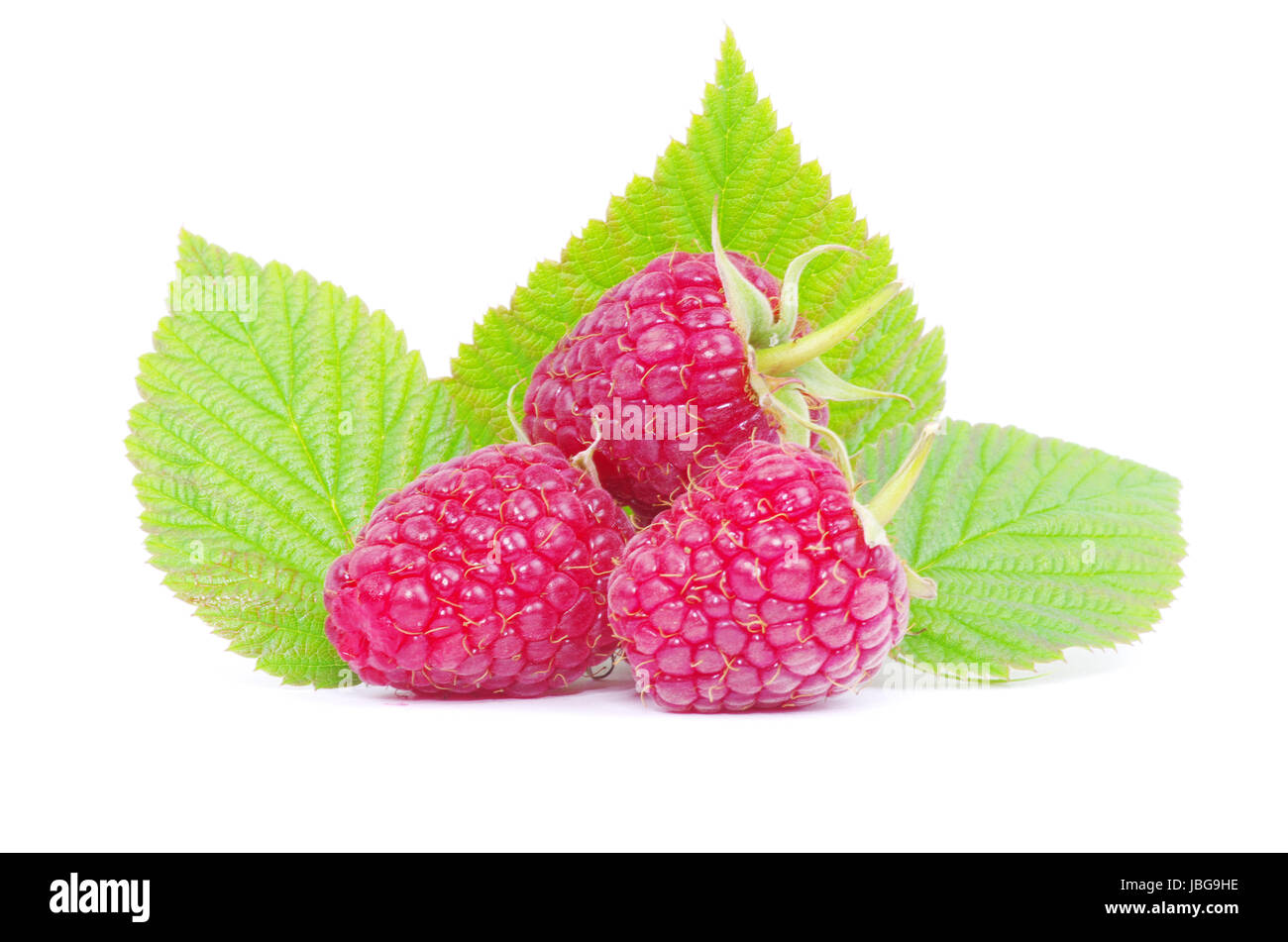 fresh raspberry closeup isolated on white background Stock Photo - Alamy