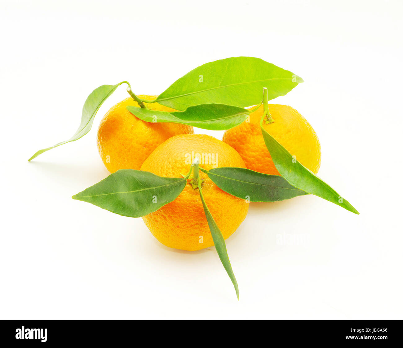 fresh mandarin isolated on white Stock Photo - Alamy