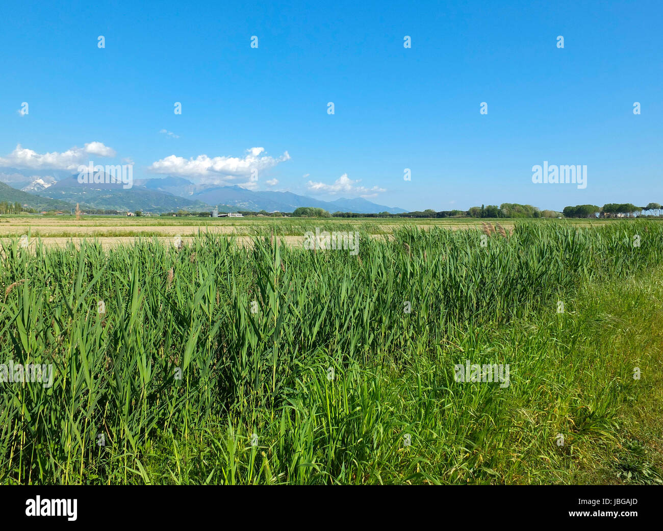 Luni ruins italy hi-res stock photography and images - Alamy