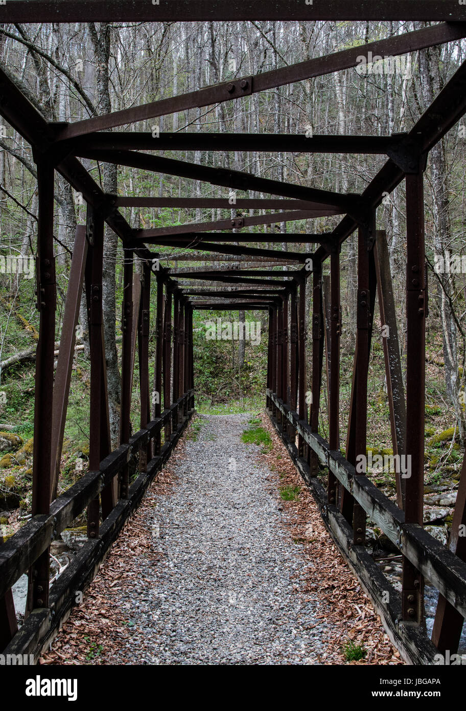 Looking Through Rusted Iron Trestle Bridge in The Forest Stock Photo ...