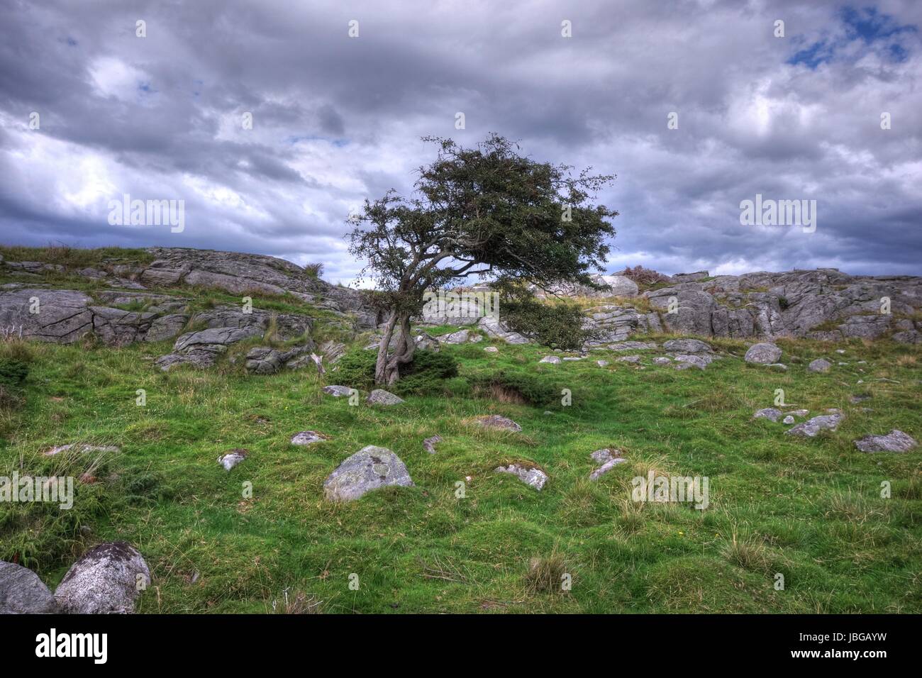 Stinted hi-res stock photography and images - Alamy