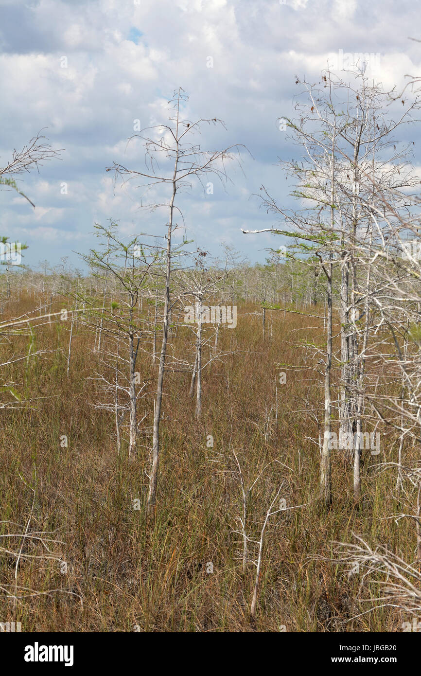 Okee overlook hi-res stock photography and images - Alamy