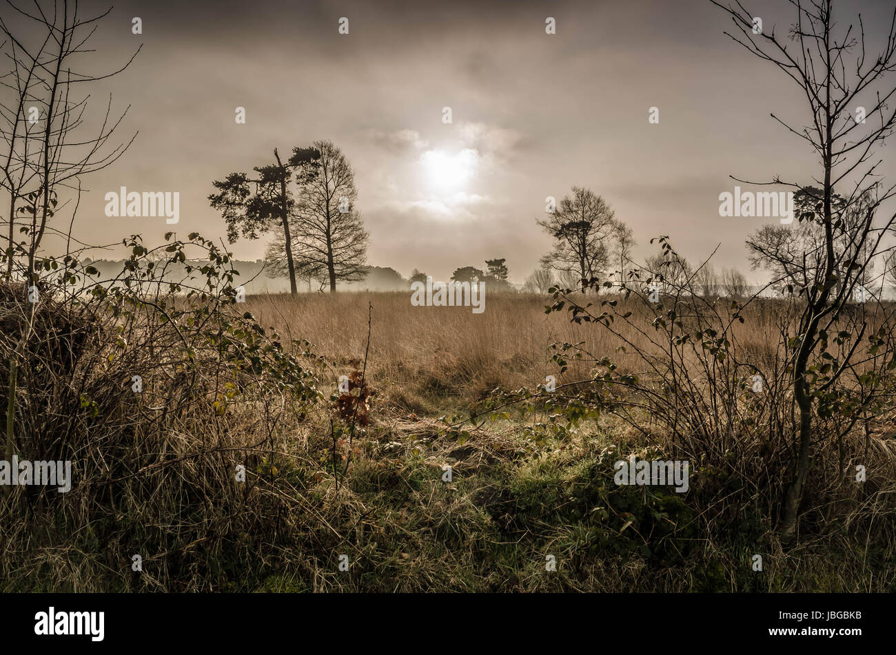 Water conservation landscapes hi-res stock photography and images - Alamy