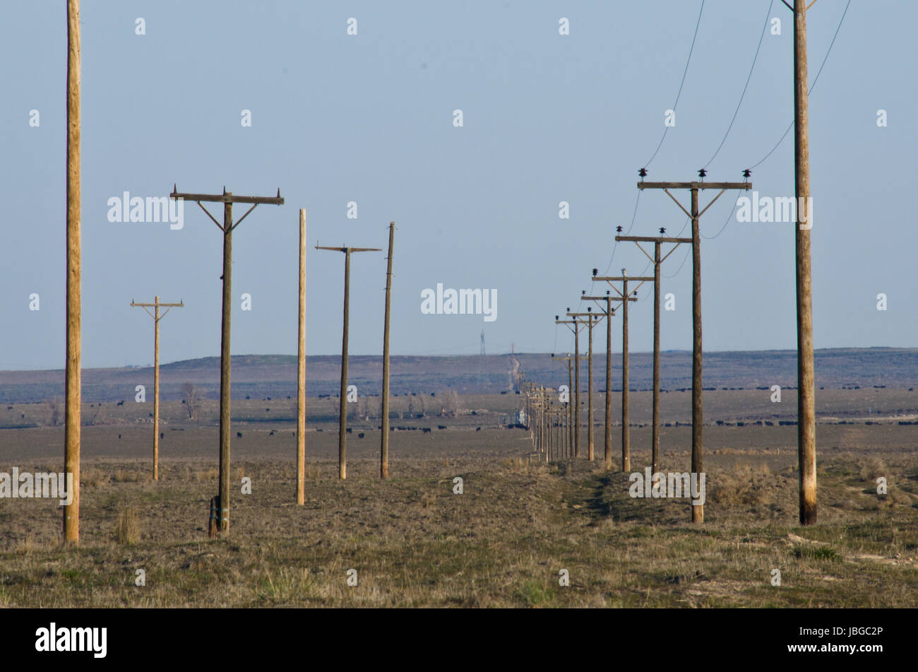 Utility Poles Standing in the Desert Stock Photo - Alamy