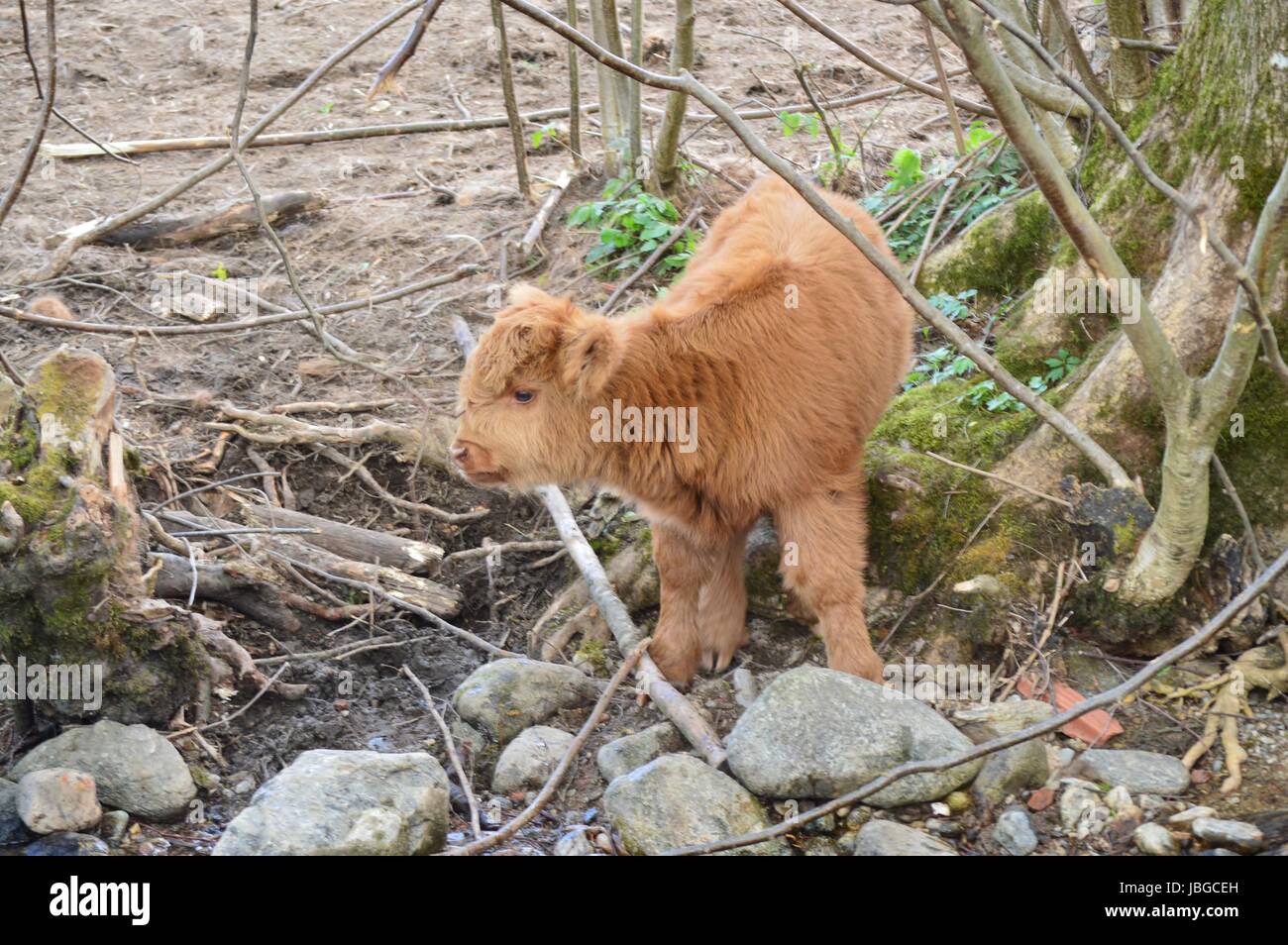 Bank of stream with hi-res stock photography and images - Alamy