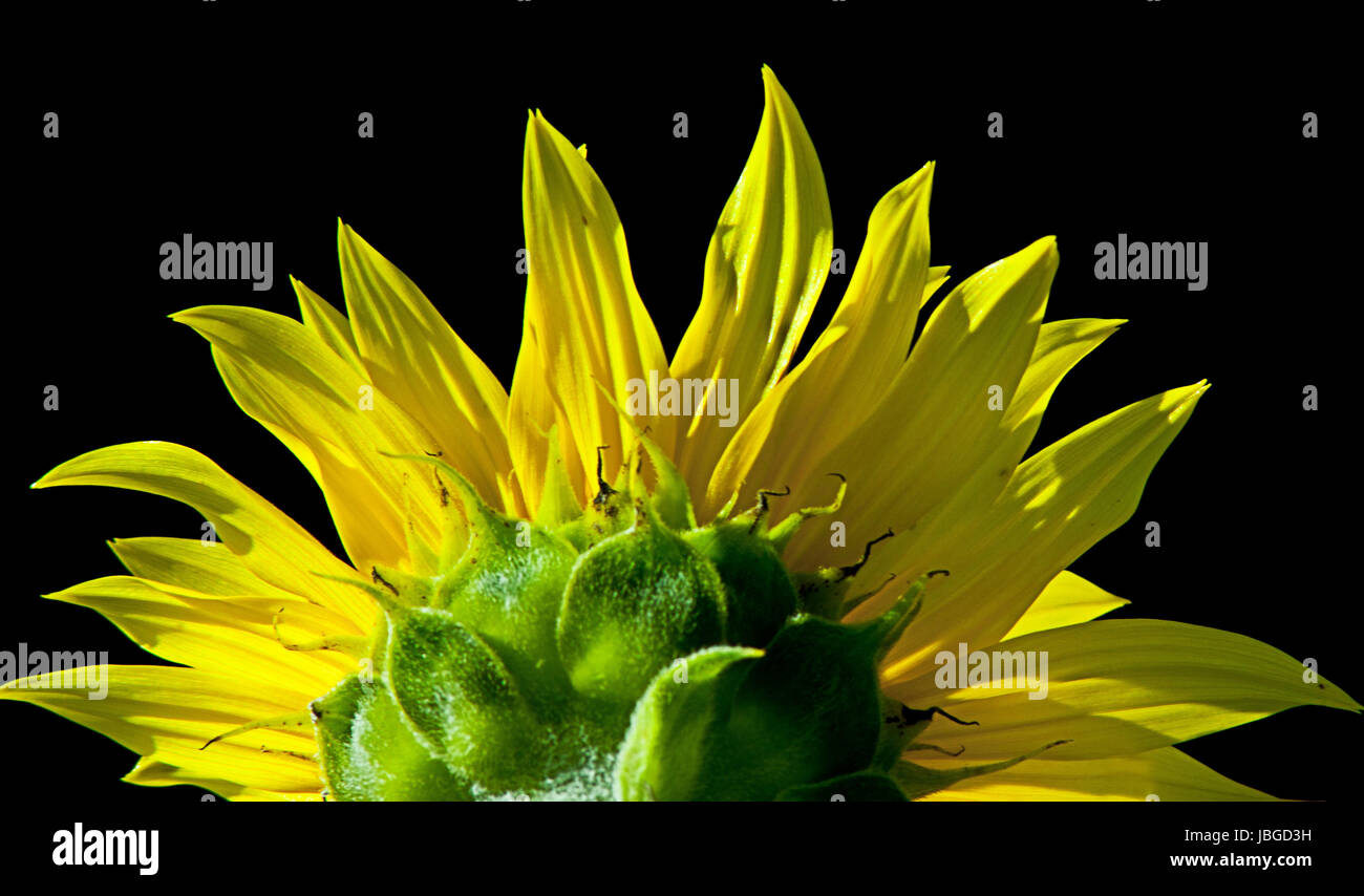 Grun poster hi-res stock photography and images - Alamy