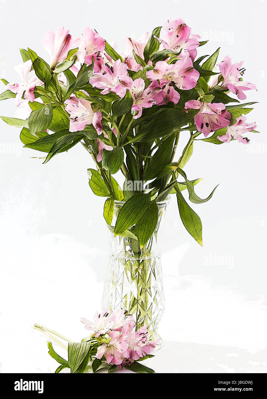 Pink Peruvian lily in a vase on white background Stock Photo - Alamy