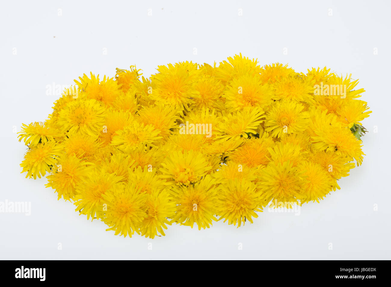 beautiful yellow flower of Dandelion Stock Photo - Alamy