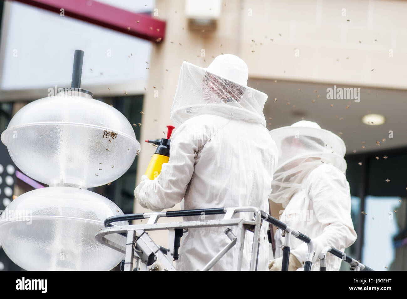 Two exterminator spraying insecticide to control a bee population in ...