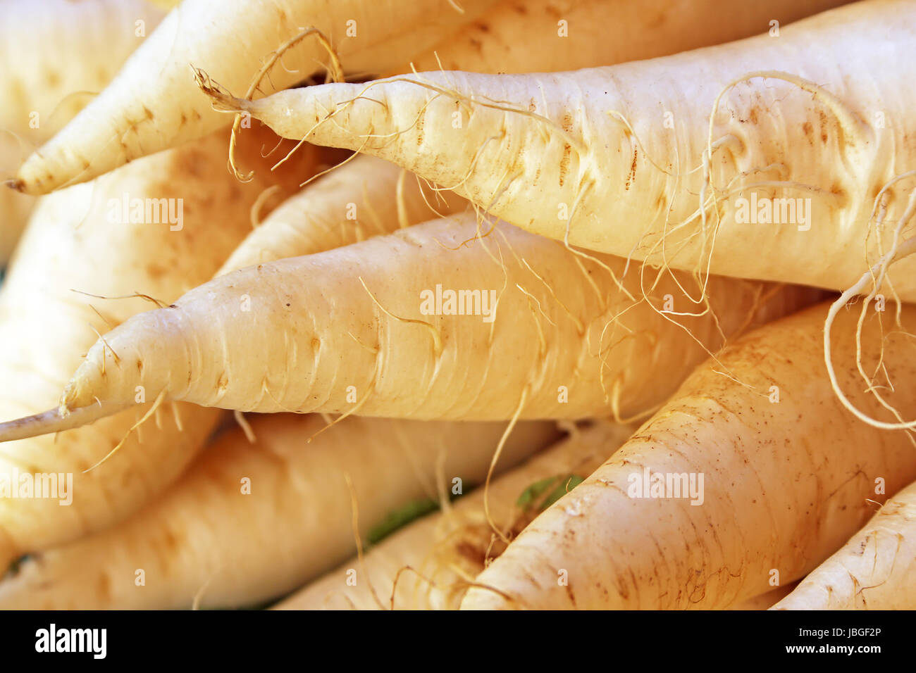 white radish at the market Stock Photo - Alamy