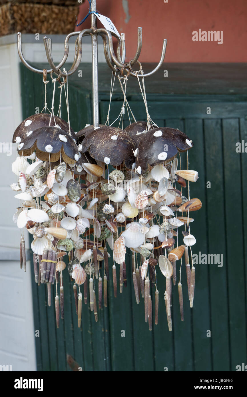 Spiky sea shell hi-res stock photography and images - Alamy