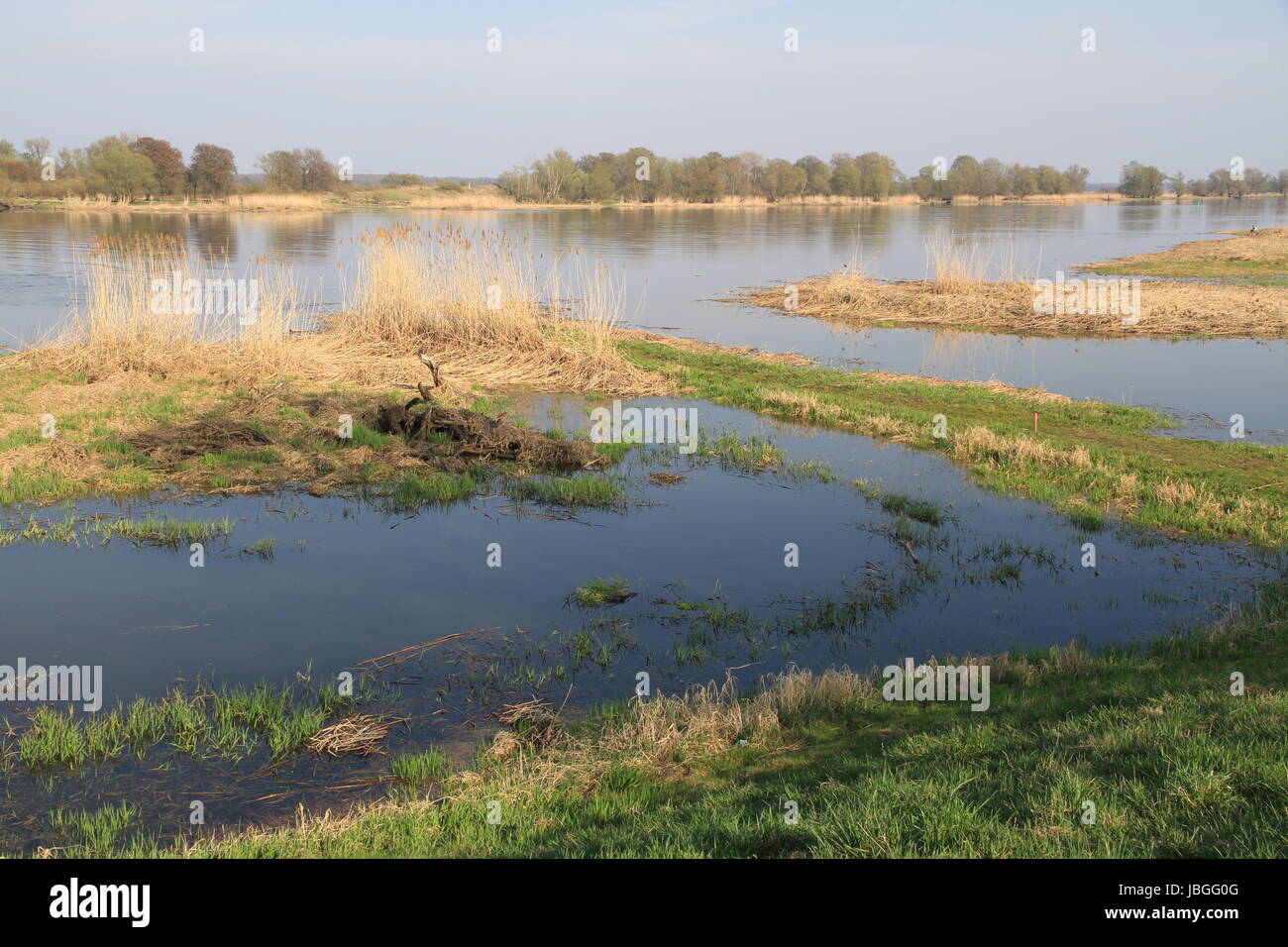 the oder - riverside Stock Photo - Alamy