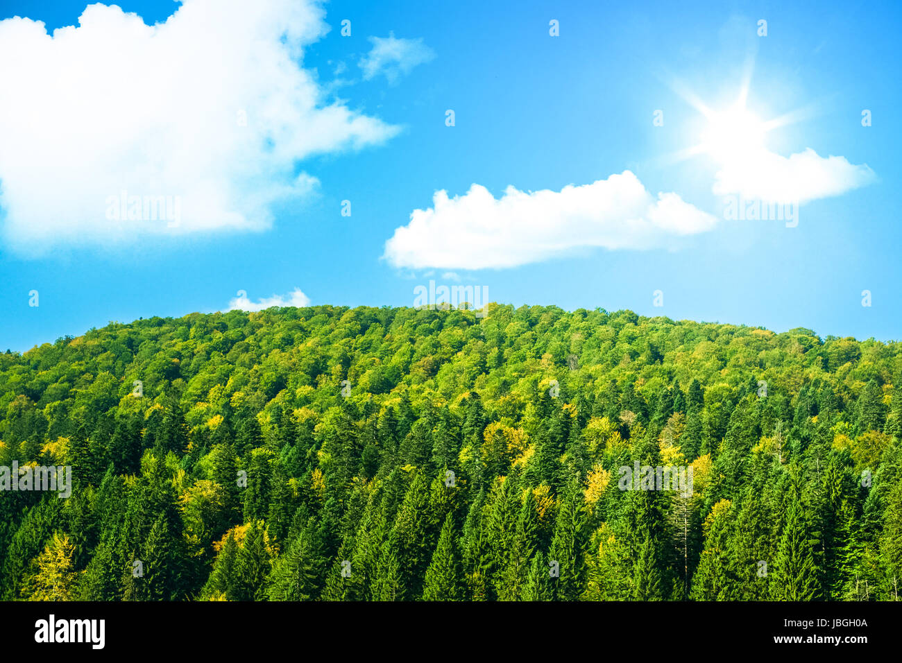 High resolution photo in best quality Stock Photo - Alamy