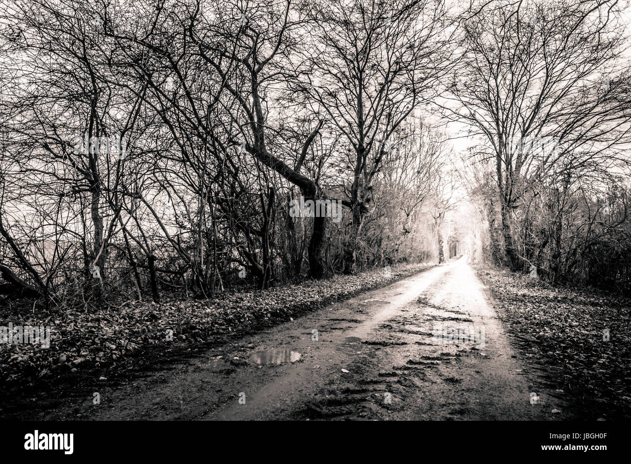 High resolution photo in best quality Stock Photo - Alamy