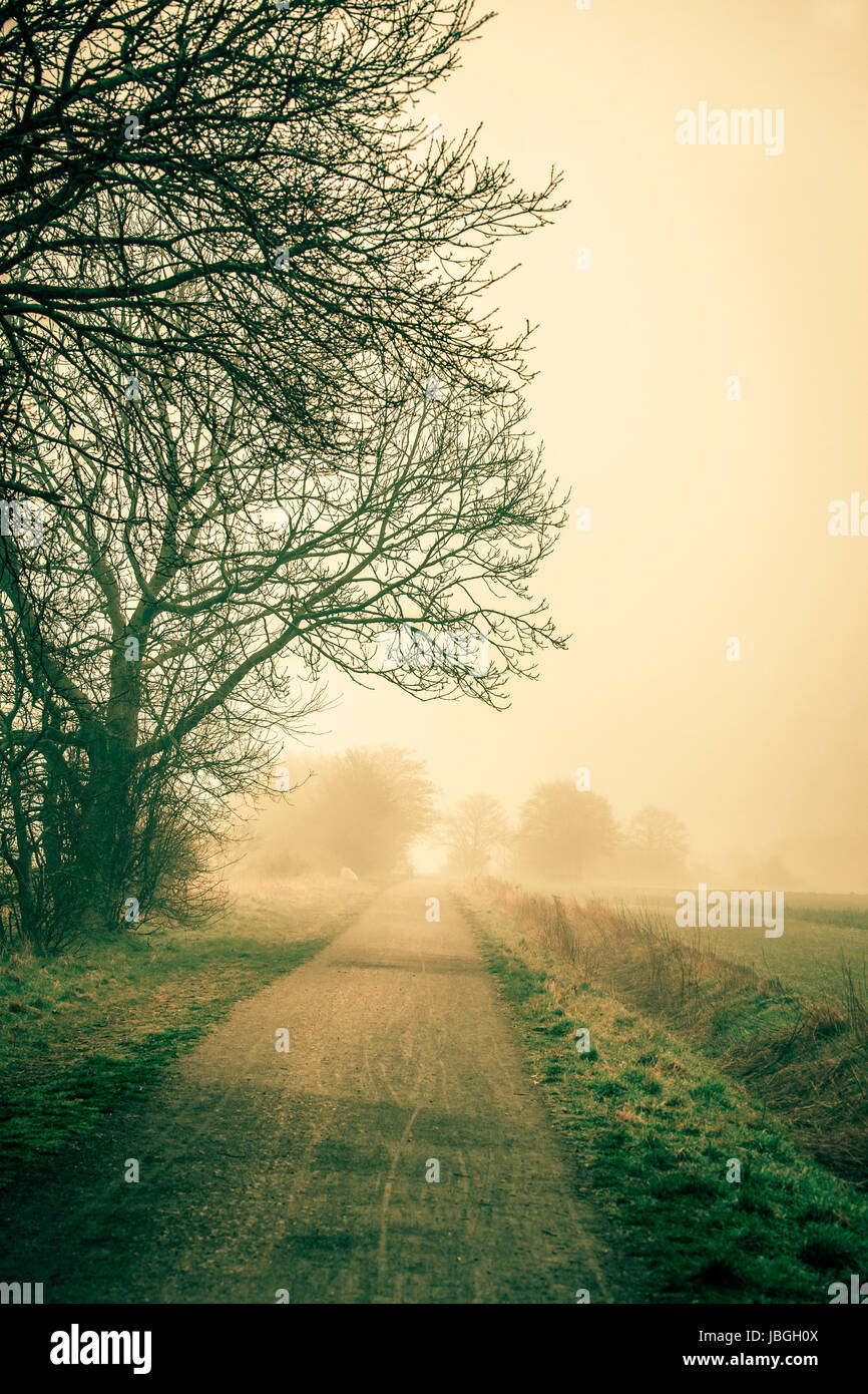 High resolution photo in best quality Stock Photo - Alamy