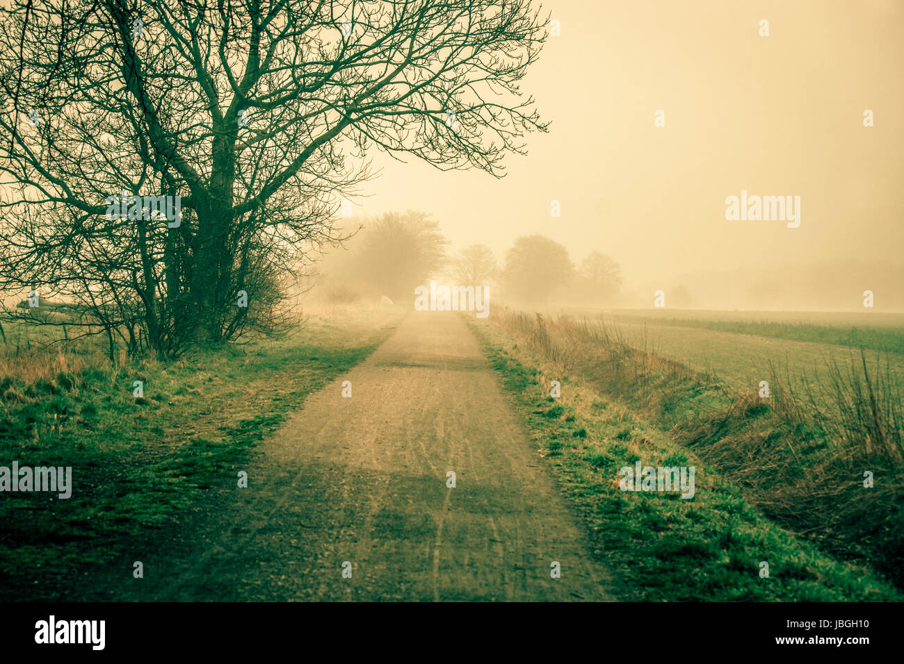 High resolution photo in best quality Stock Photo - Alamy